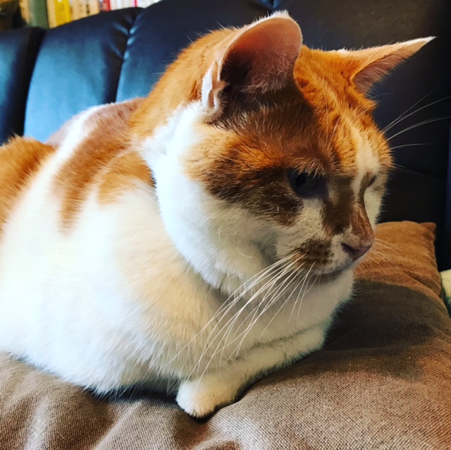 No.1291 誰かのため | 株式会社スパイラル研究所